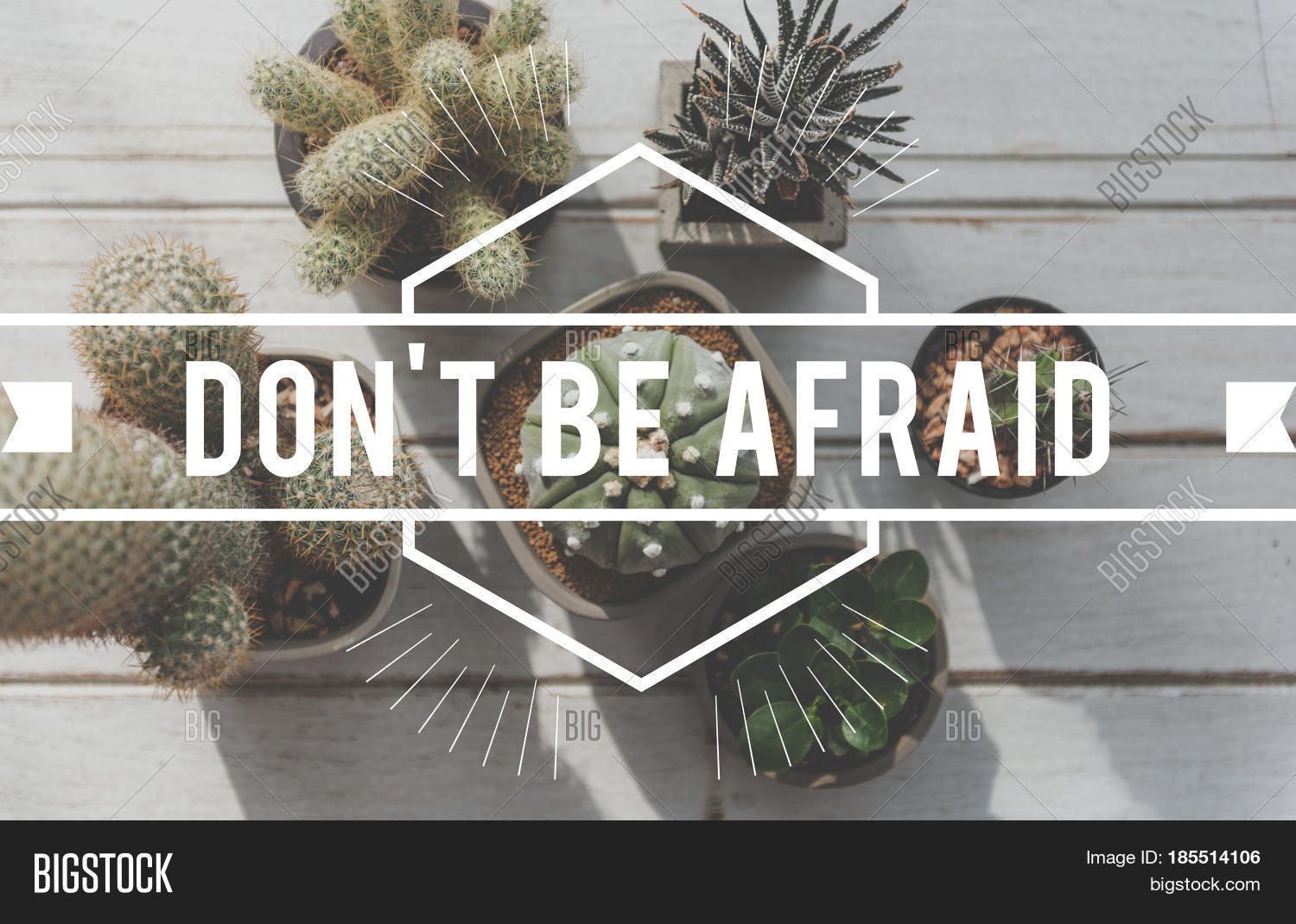 Do Not Be Afraid Image & Photo (Free Trial) | Bigstock