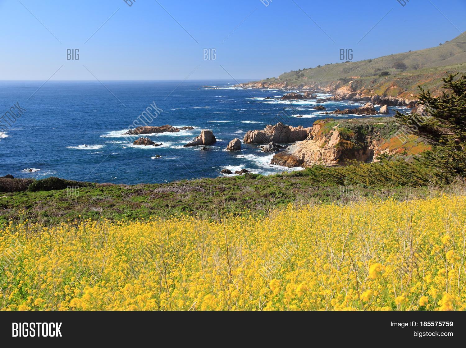 Monterey County Image & Photo (Free Trial) | Bigstock
