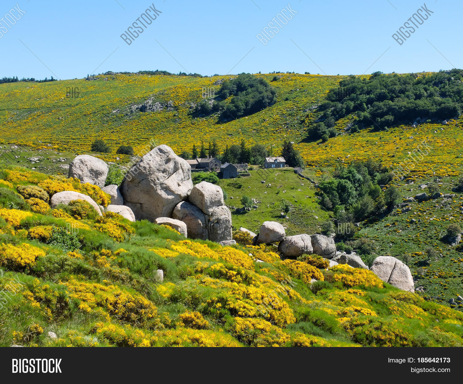 Hamlet Moor Rocks Image & Photo (Free Trial) | Bigstock