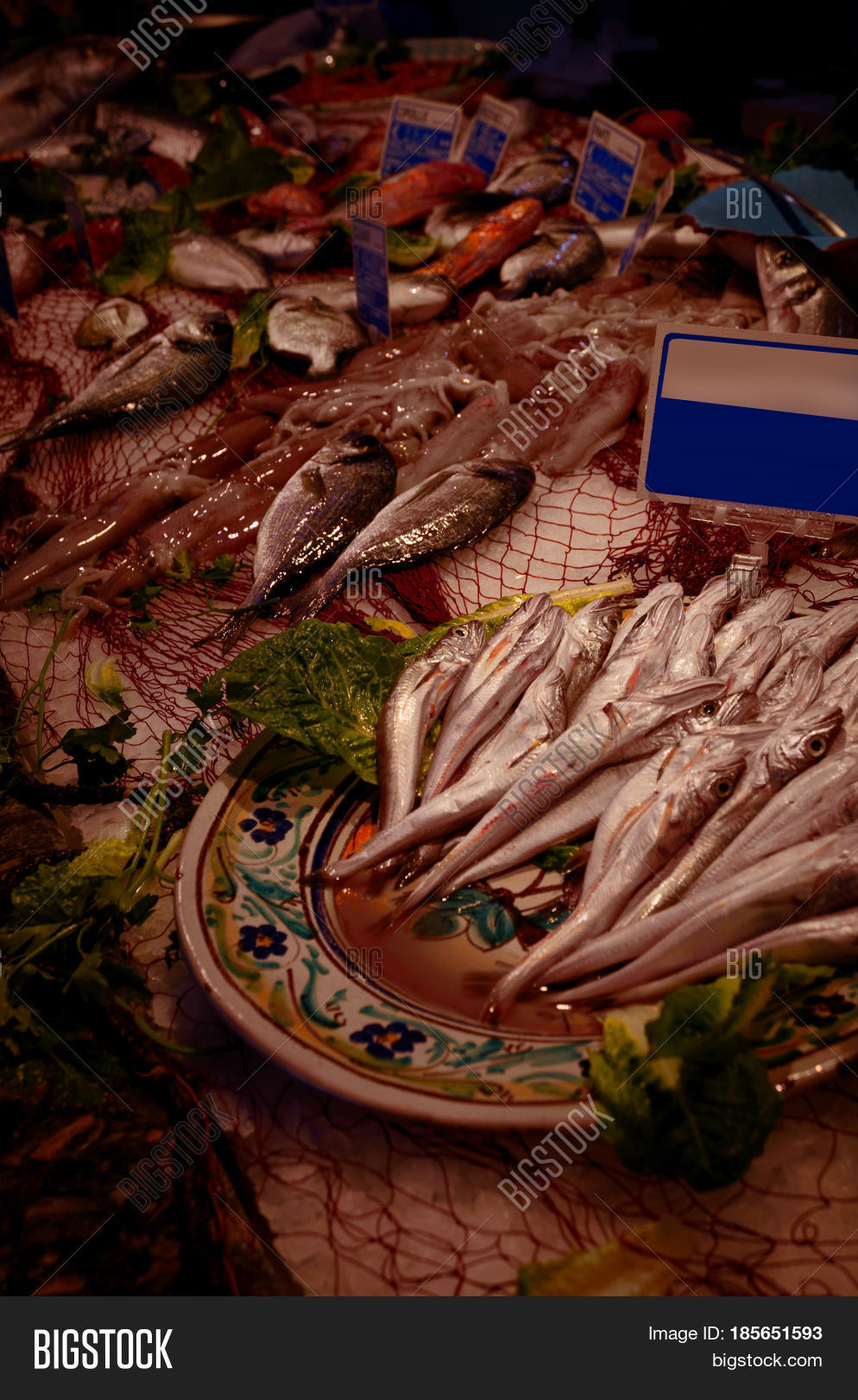 Array Fresh Fish Sits Image & Photo (Free Trial) | Bigstock