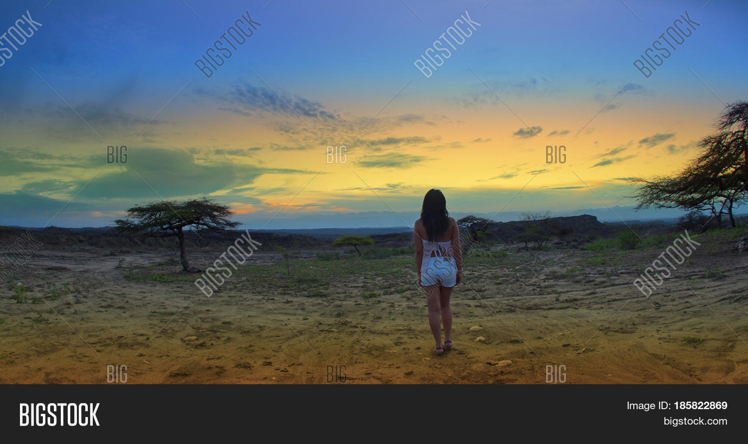 Lonely Woman Back Image & Photo (Free Trial) | Bigstock