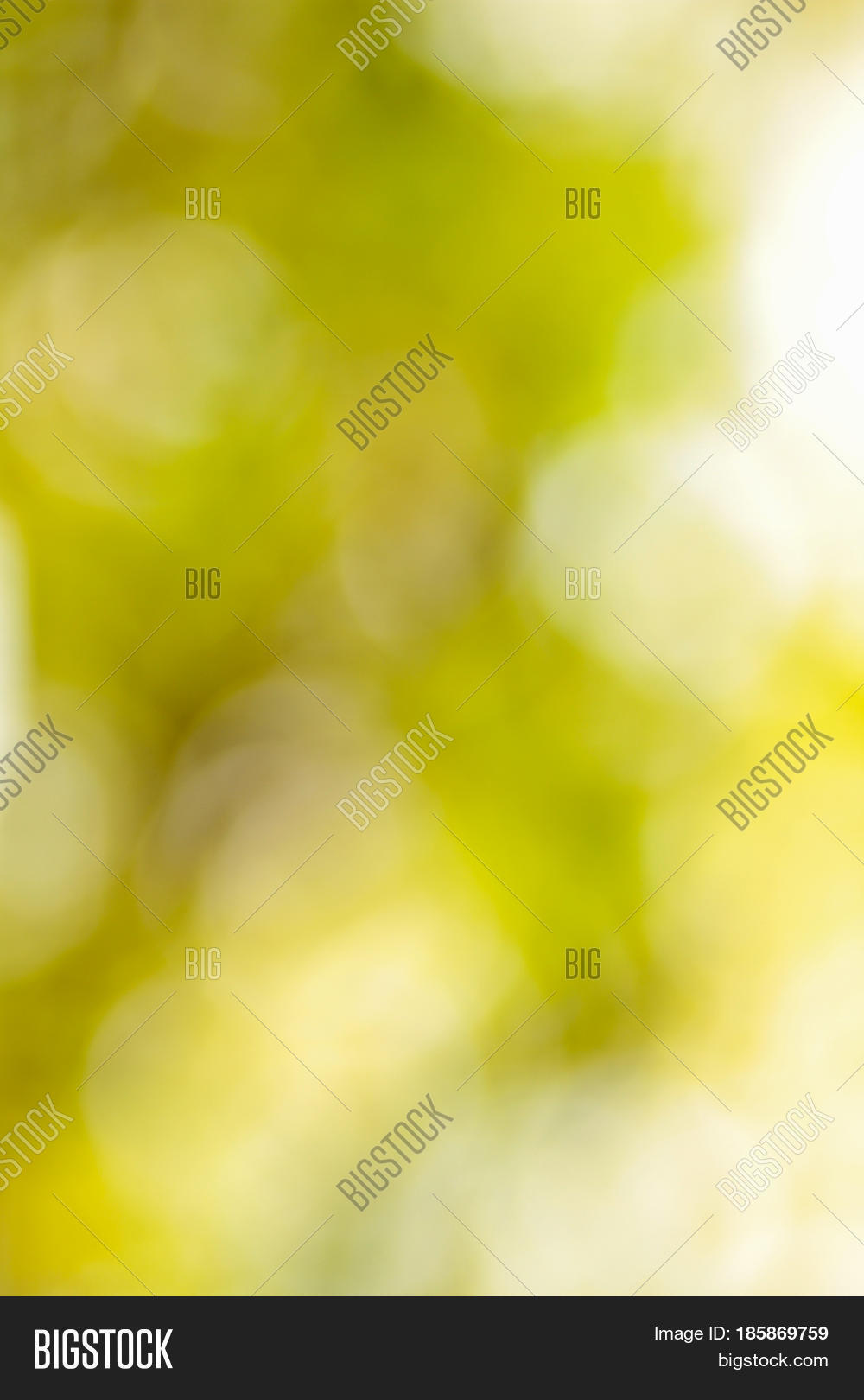Abstract Pale Green Image & Photo (Free Trial) | Bigstock