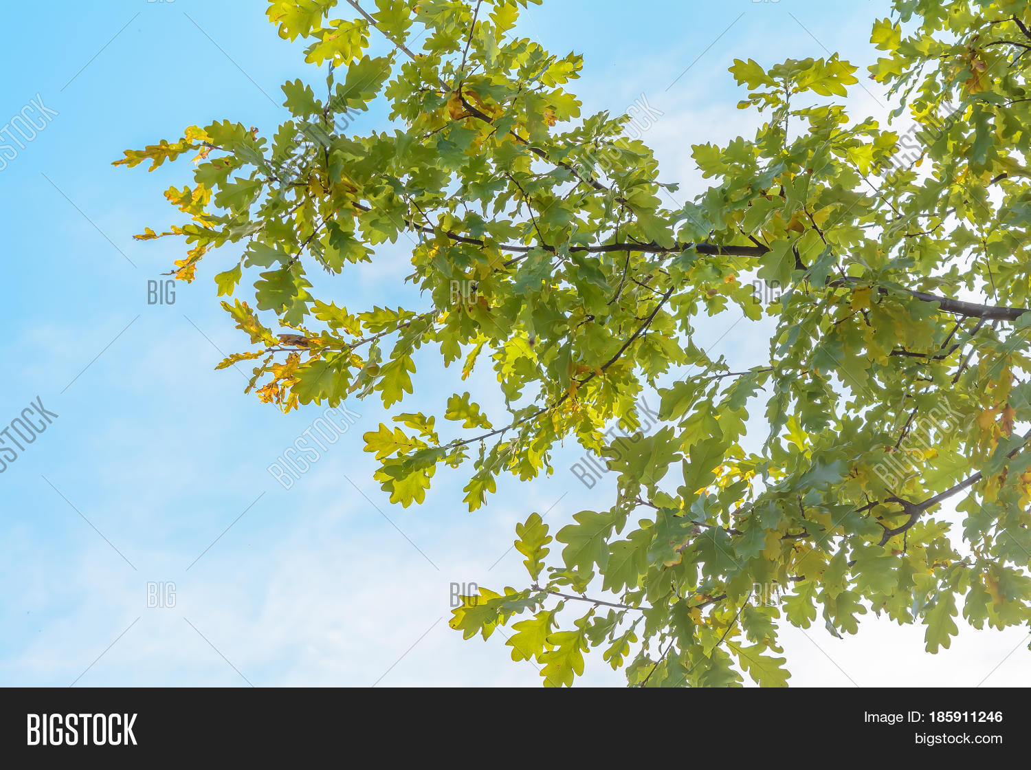 Autumn Early Autumn Image & Photo (Free Trial) | Bigstock