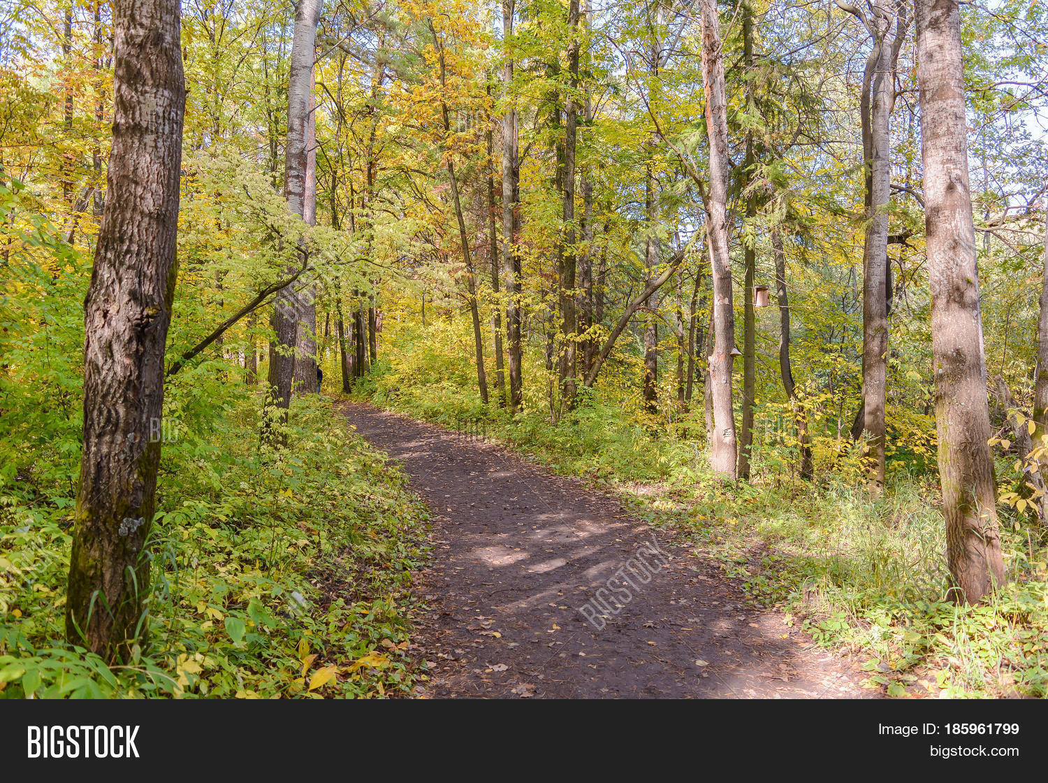 Autumn Early Autumn Image & Photo (Free Trial) | Bigstock
