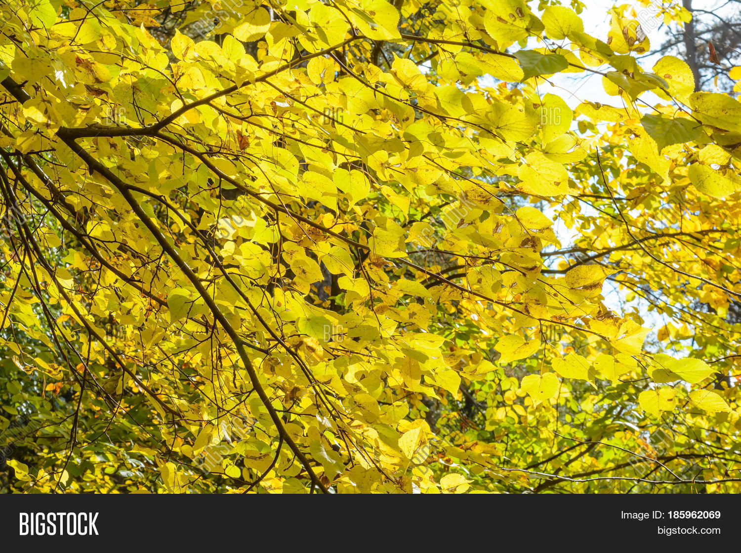 Autumn Early Autumn Image & Photo (Free Trial) | Bigstock