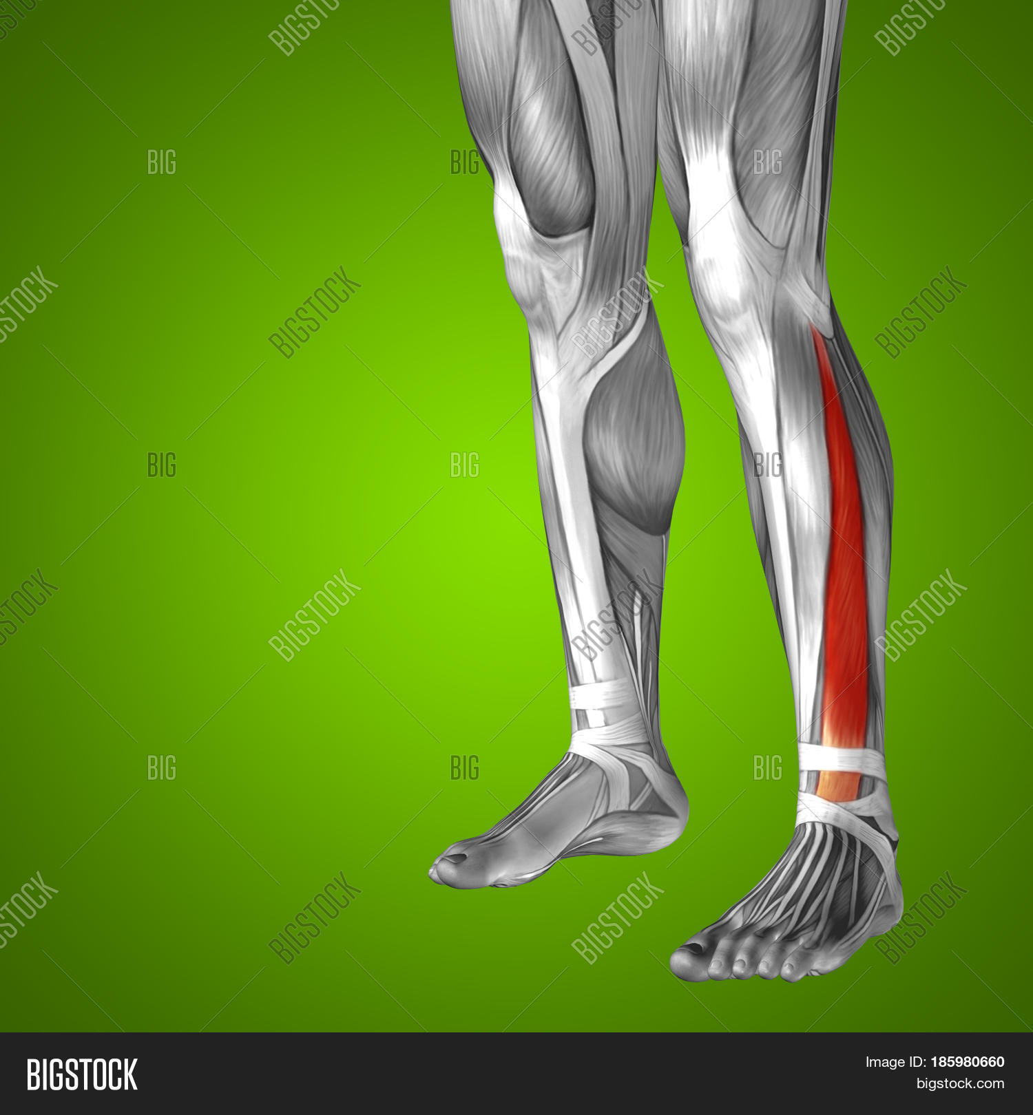 Concept Conceptual 3D Image & Photo (Free Trial) | Bigstock