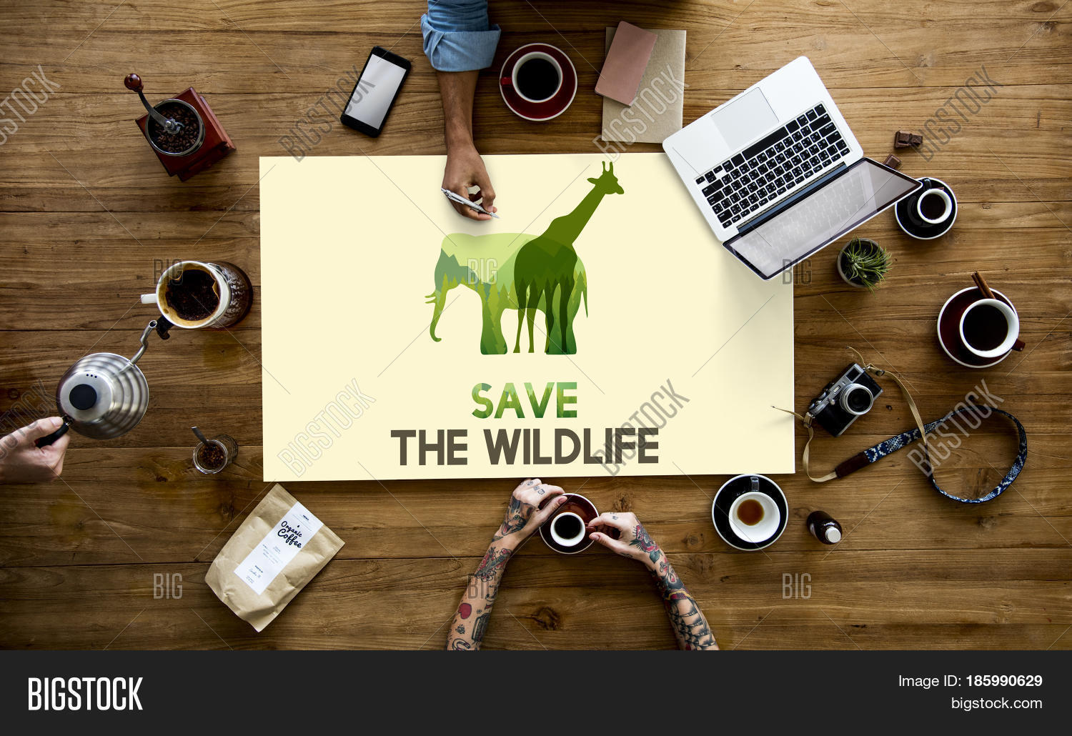 Save Wildlife Animals Image & Photo (Free Trial) | Bigstock