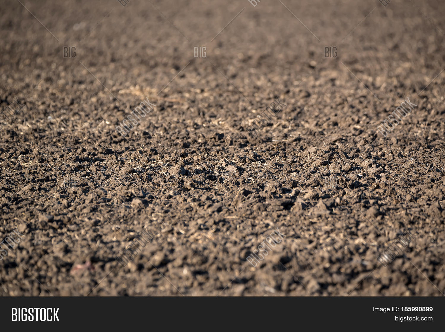 Brown Realistic Soil Image & Photo (Free Trial) | Bigstock