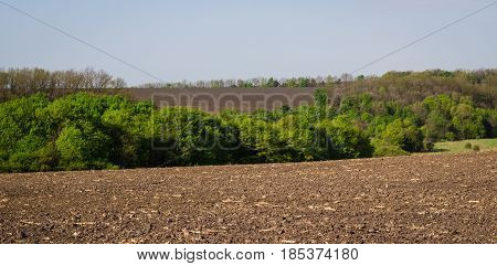 Between Broad Fields Image & Photo (Free Trial) | Bigstock