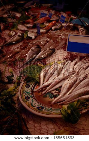 Array Fresh Fish Sits Image & Photo (Free Trial) | Bigstock