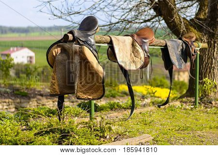 Leather Cowboy Saddles Image & Photo (Free Trial) | Bigstock