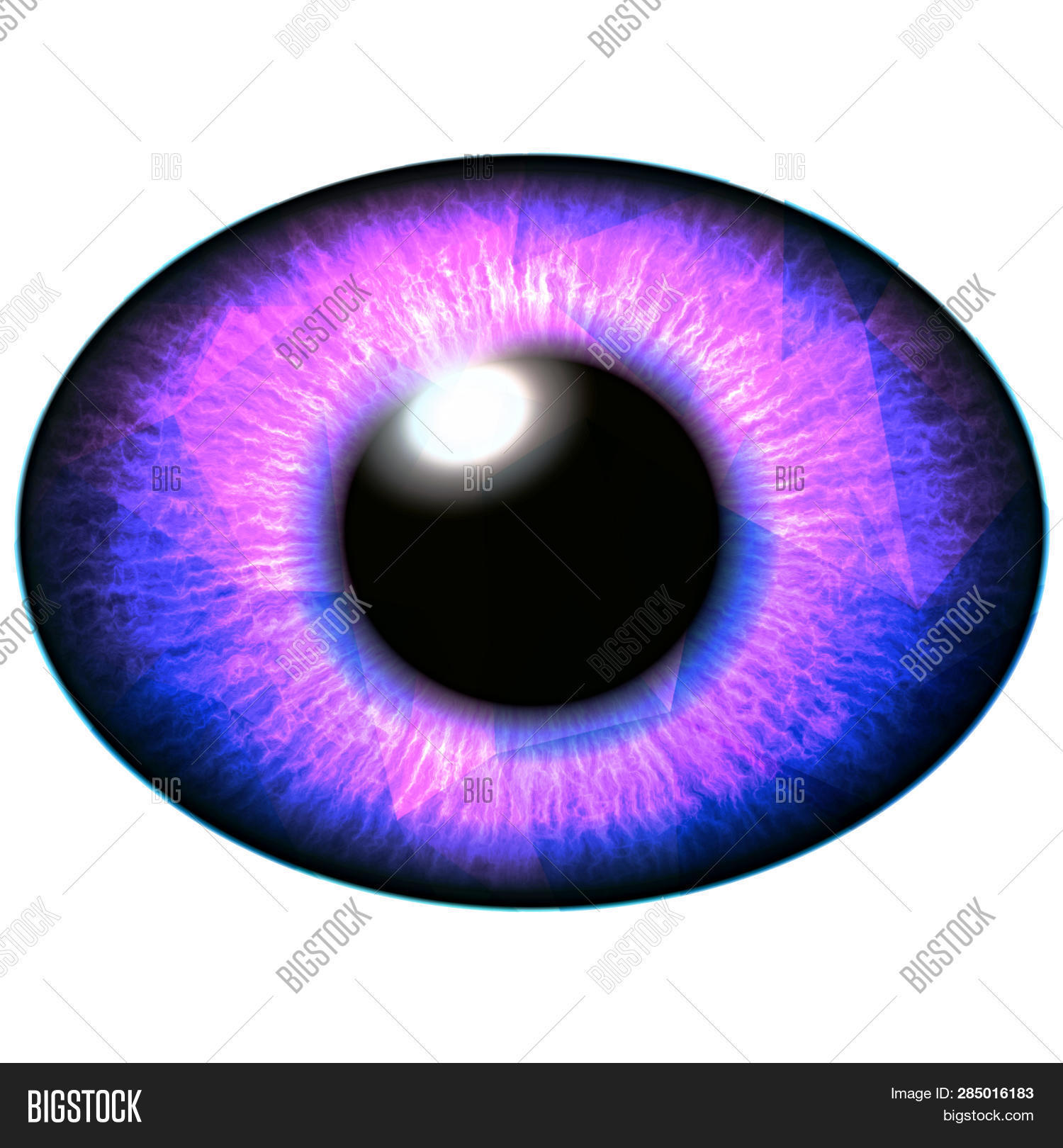Red Purple Eye Image & Photo (Free Trial) | Bigstock