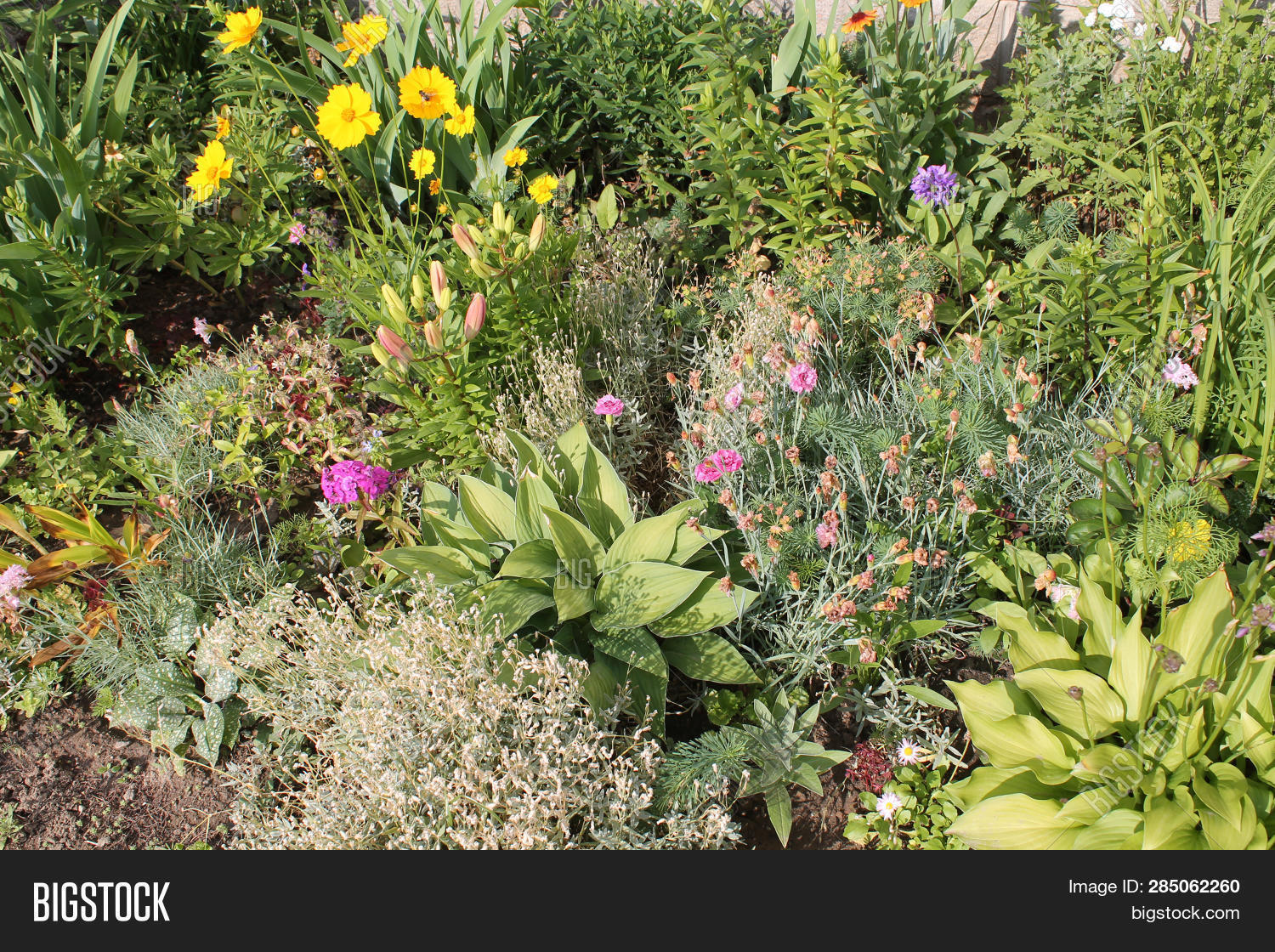 Mixed Border Various Image & Photo (Free Trial) | Bigstock