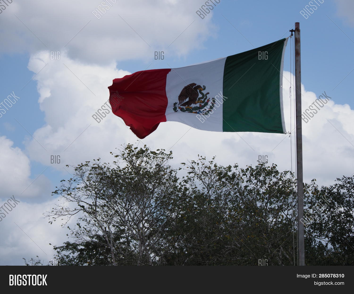 National Maxican Flag Image & Photo (Free Trial) | Bigstock