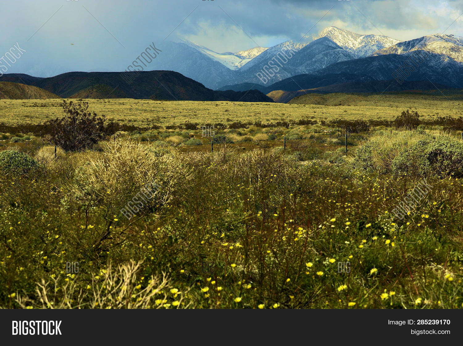 Lush Grasslands Spring Image & Photo (Free Trial) | Bigstock