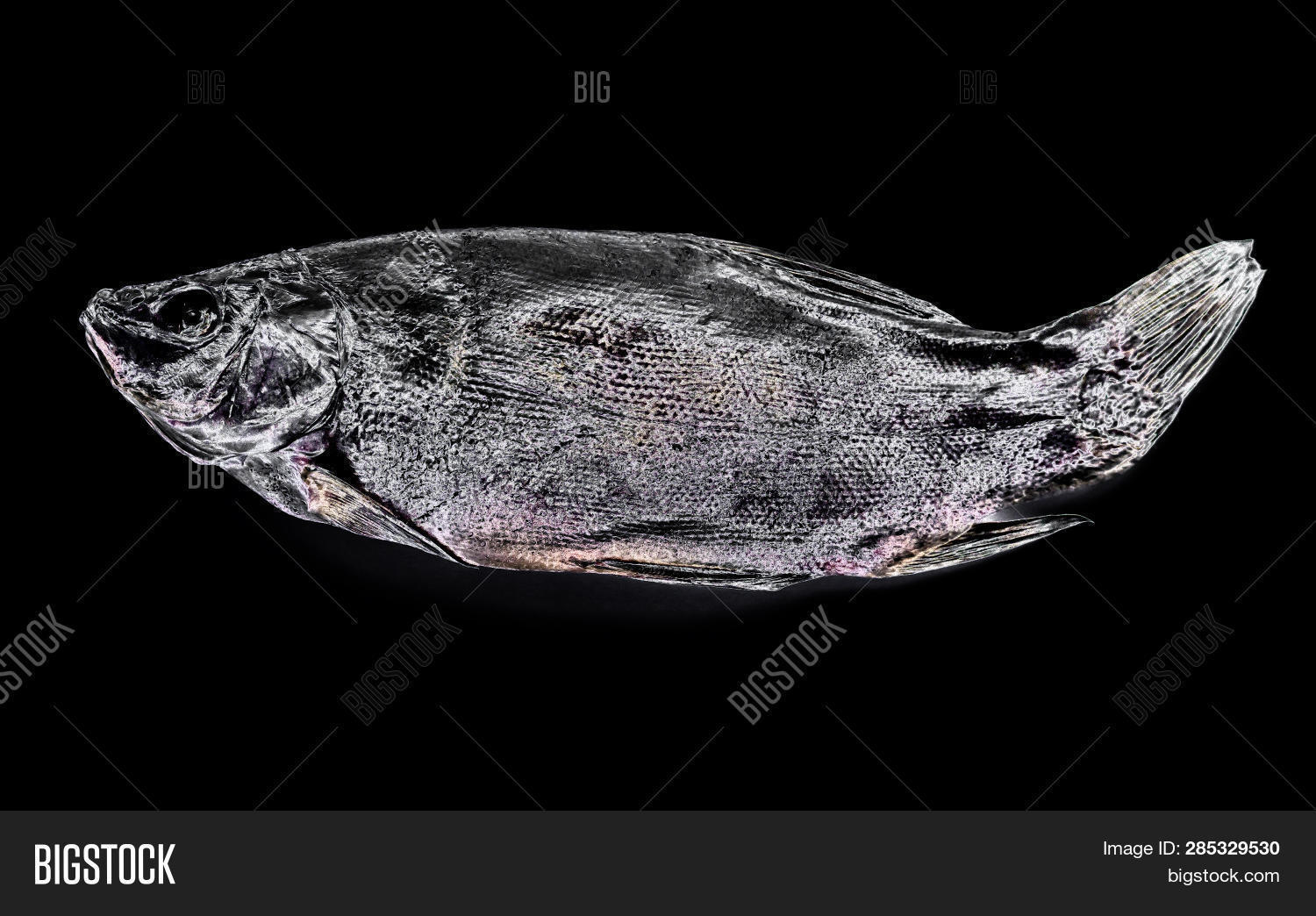 Dried Fish On Black Image & Photo (Free Trial) | Bigstock