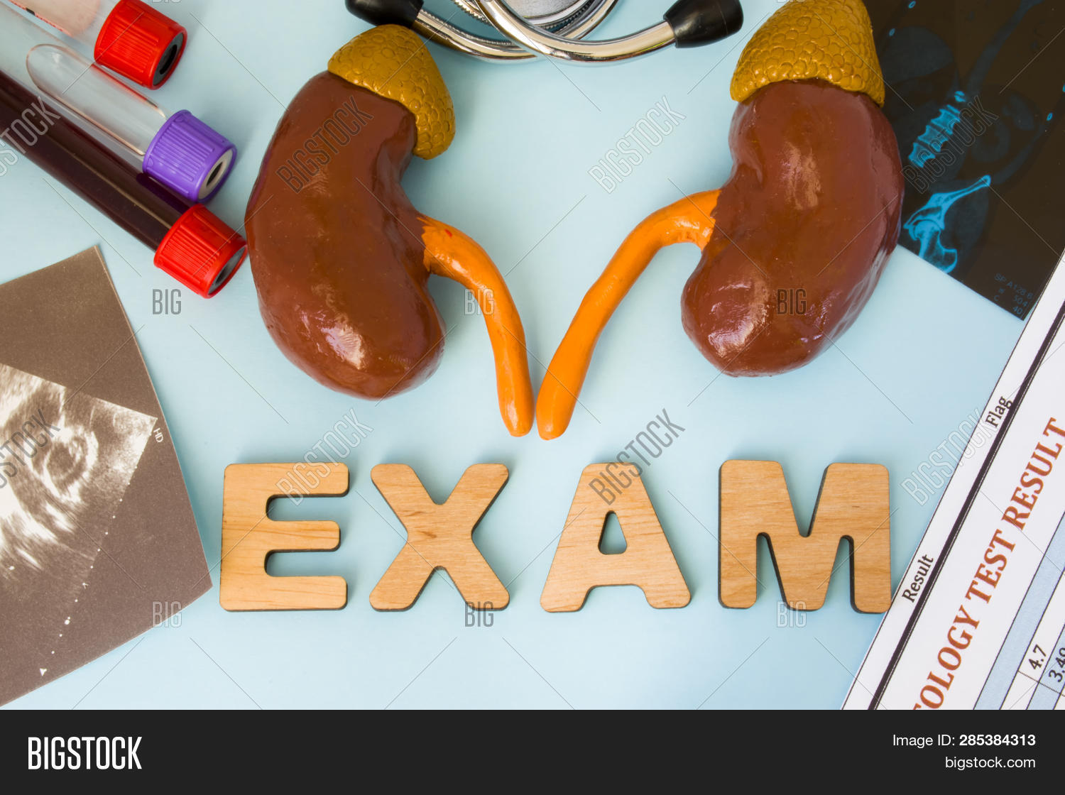 Examination Nephrology Image & Photo (Free Trial) | Bigstock