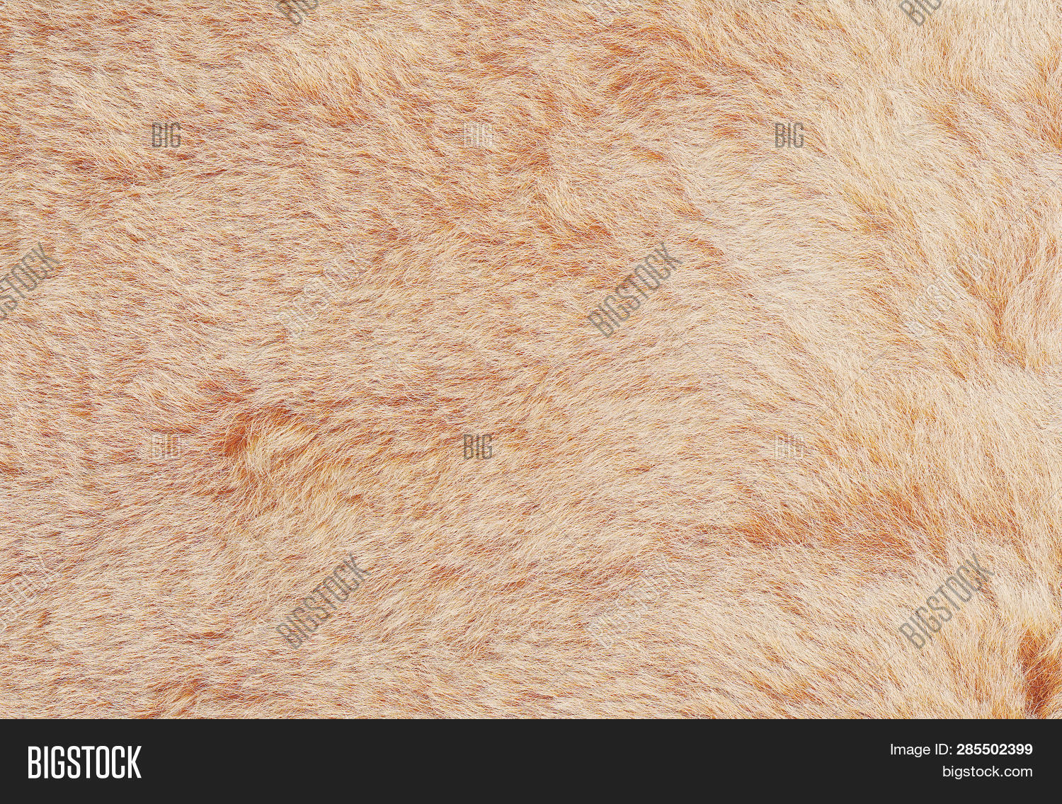 Abstract Light Brown Image & Photo (Free Trial) | Bigstock