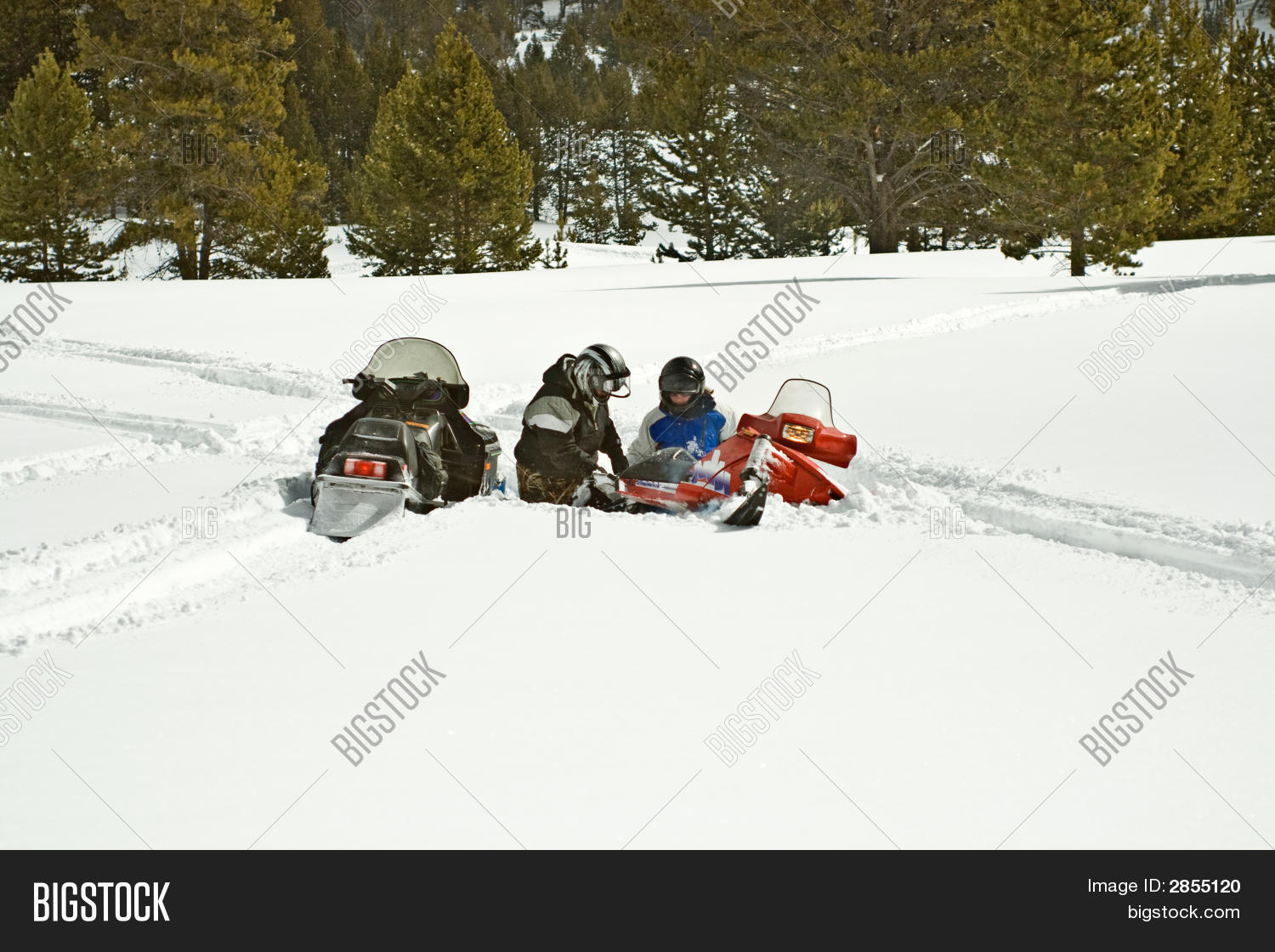 Buried Snowmobile Image & Photo (Free Trial) | Bigstock