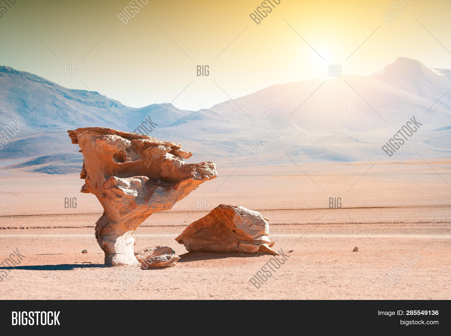 "stone Tree" Rock Image & Photo (Free Trial) | Bigstock