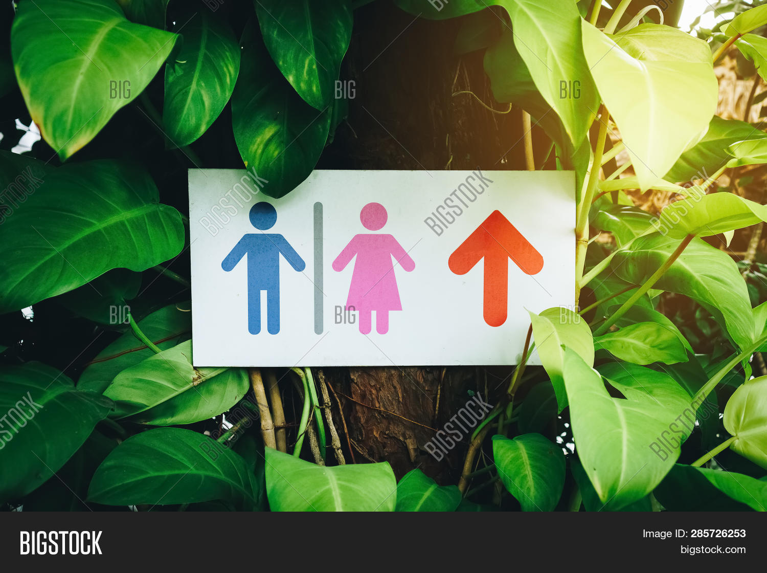 Toilet Sign Green Image & Photo (Free Trial) | Bigstock