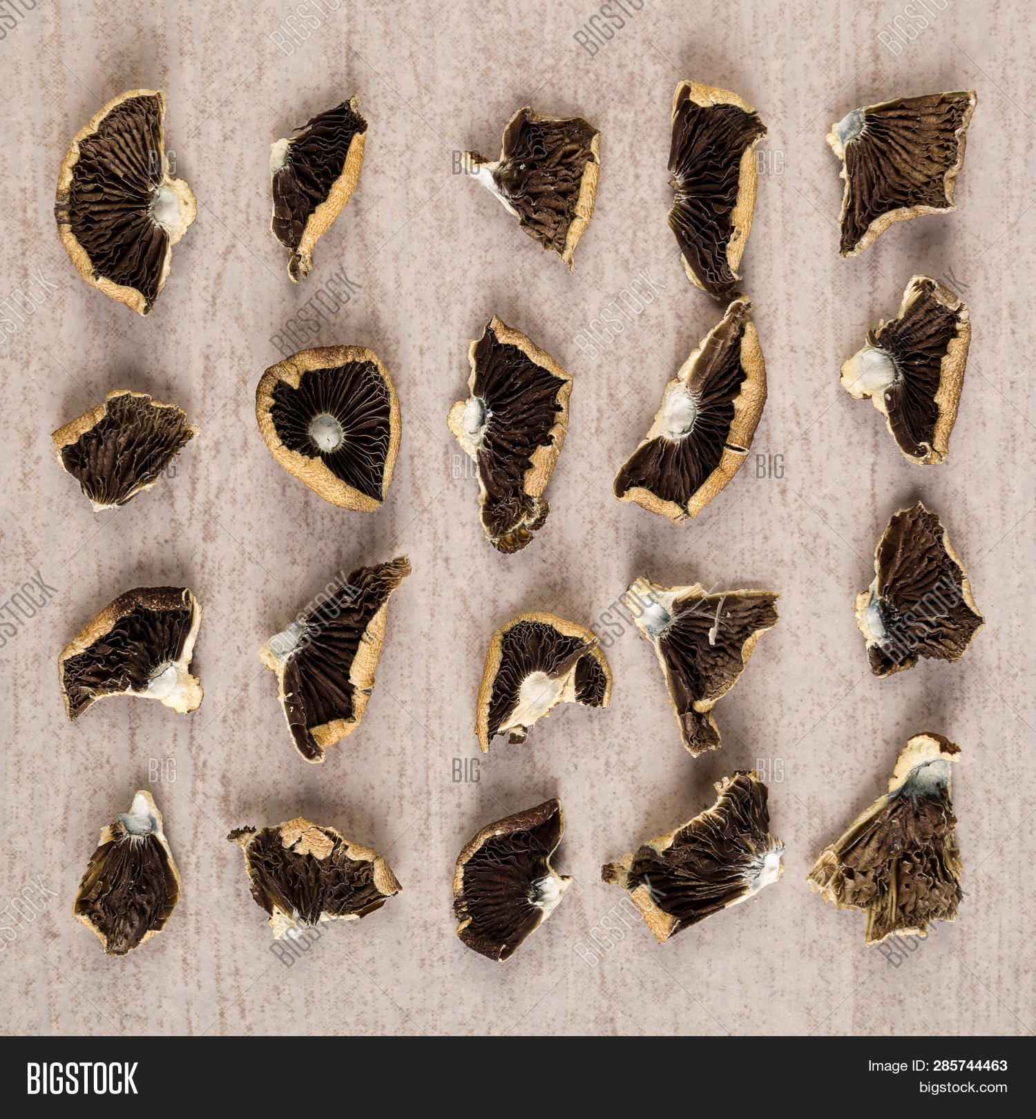 Dried Magic Mushrooms Image And Photo Free Trial Bigstock