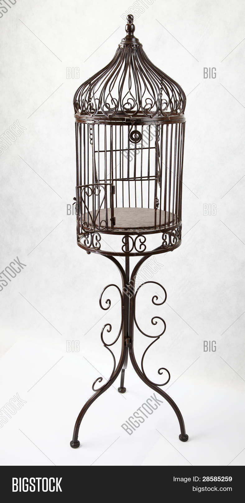 Cage Image & Photo (Free Trial) | Bigstock