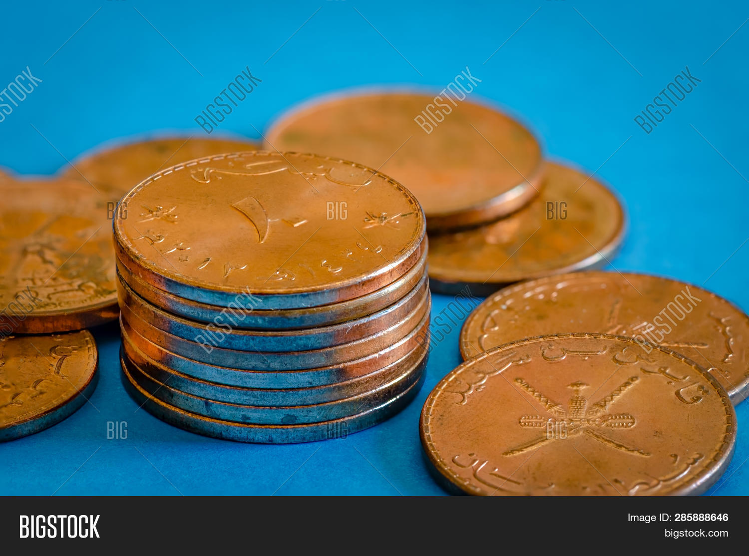 Closeup 10 Baiza Image & Photo (Free Trial) | Bigstock