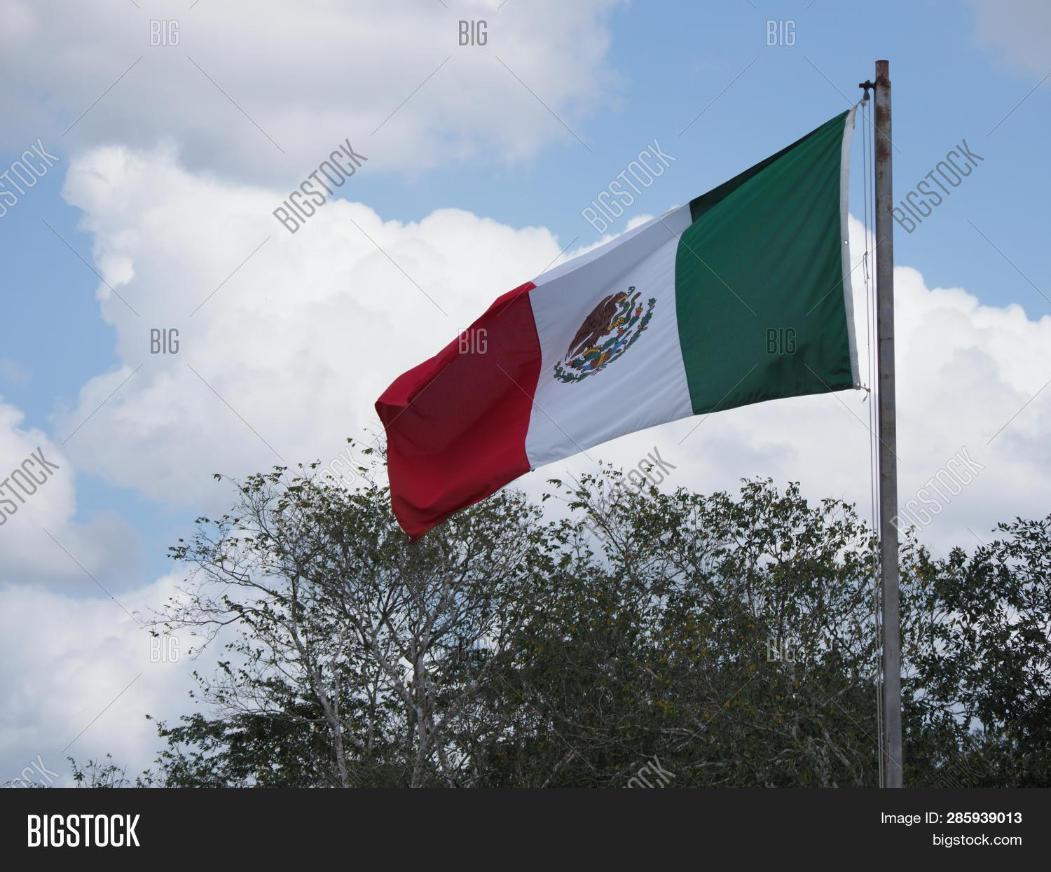 National Maxican Flag Image & Photo (Free Trial) | Bigstock