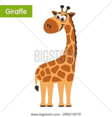 Circus Animals. Giraffe Images, Illustrations & Vectors (Free) - Bigstock