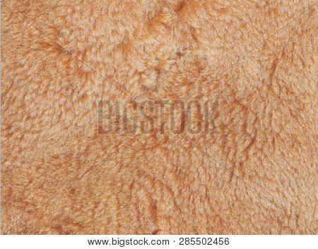 Abstract Light Brown Image & Photo (Free Trial) | Bigstock