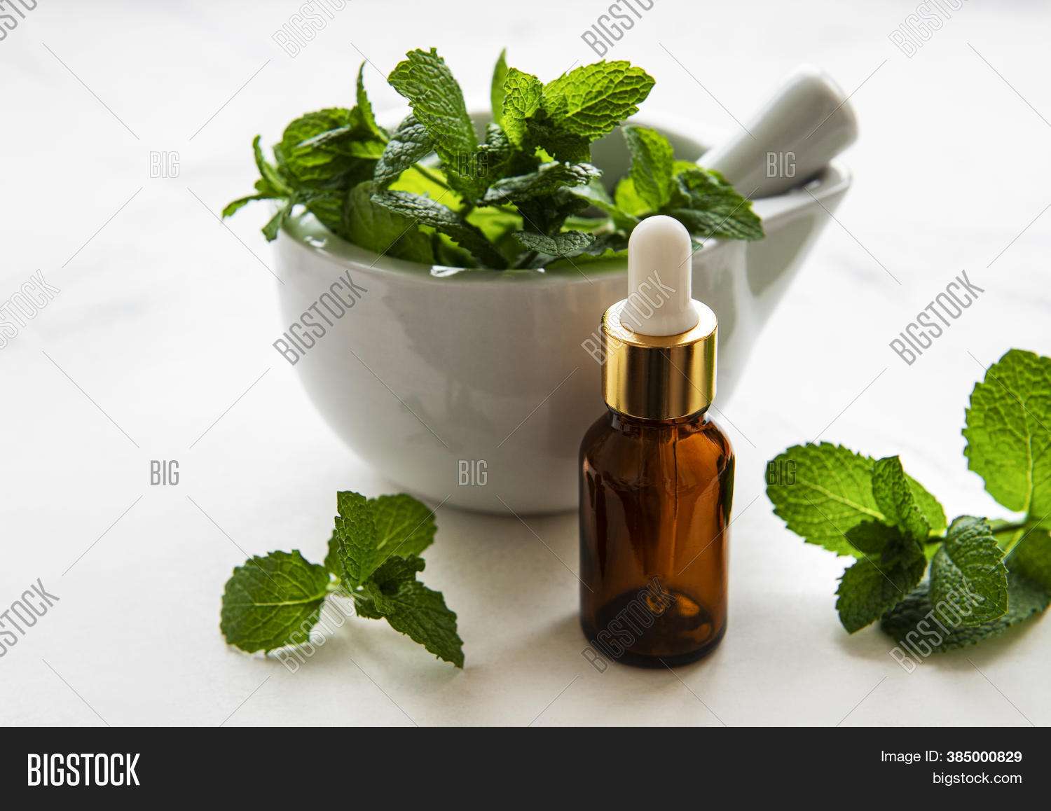 Mint Oil Fresh Mint Image & Photo (Free Trial) | Bigstock