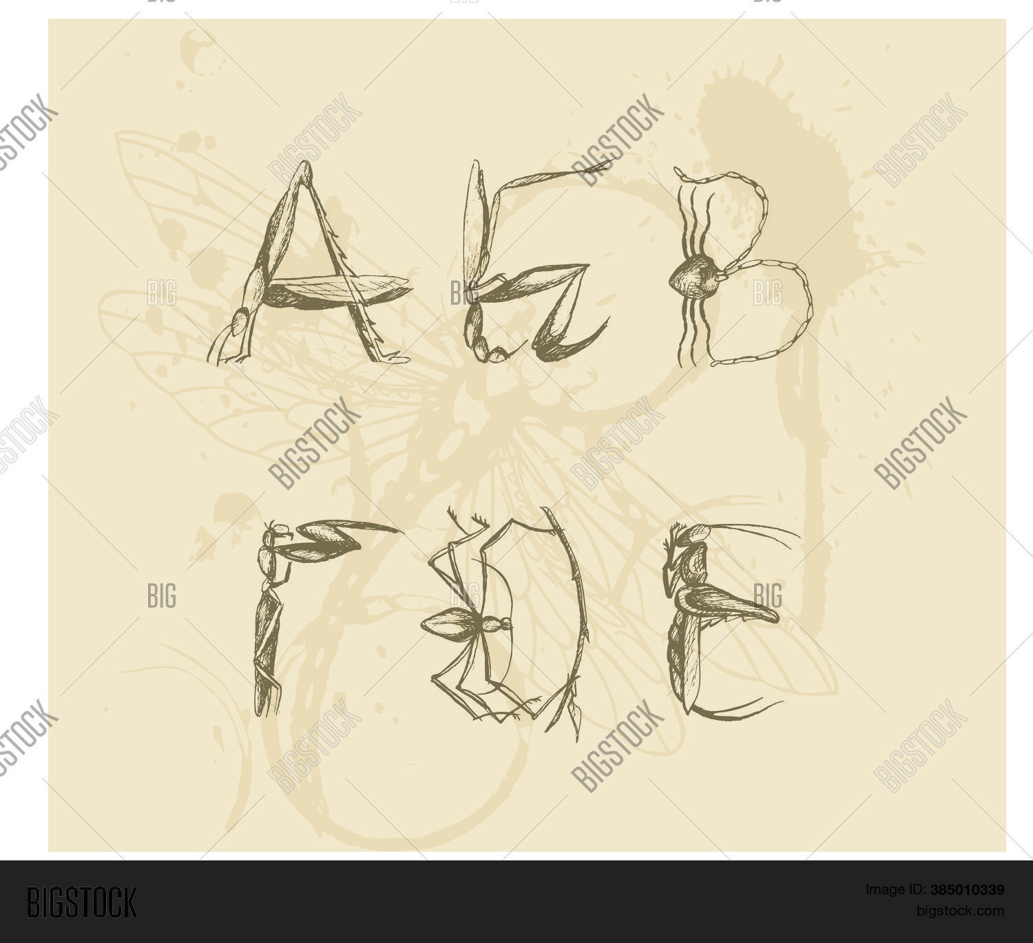Font Insects Form Vector & Photo (Free Trial) | Bigstock