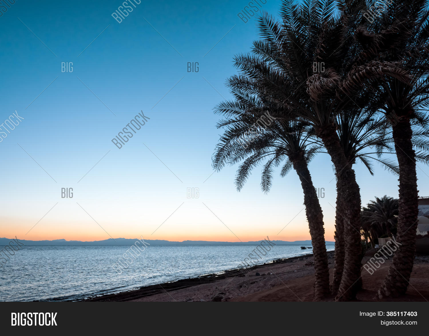 Coast Red Sea, Gulf Image & Photo (Free Trial) | Bigstock