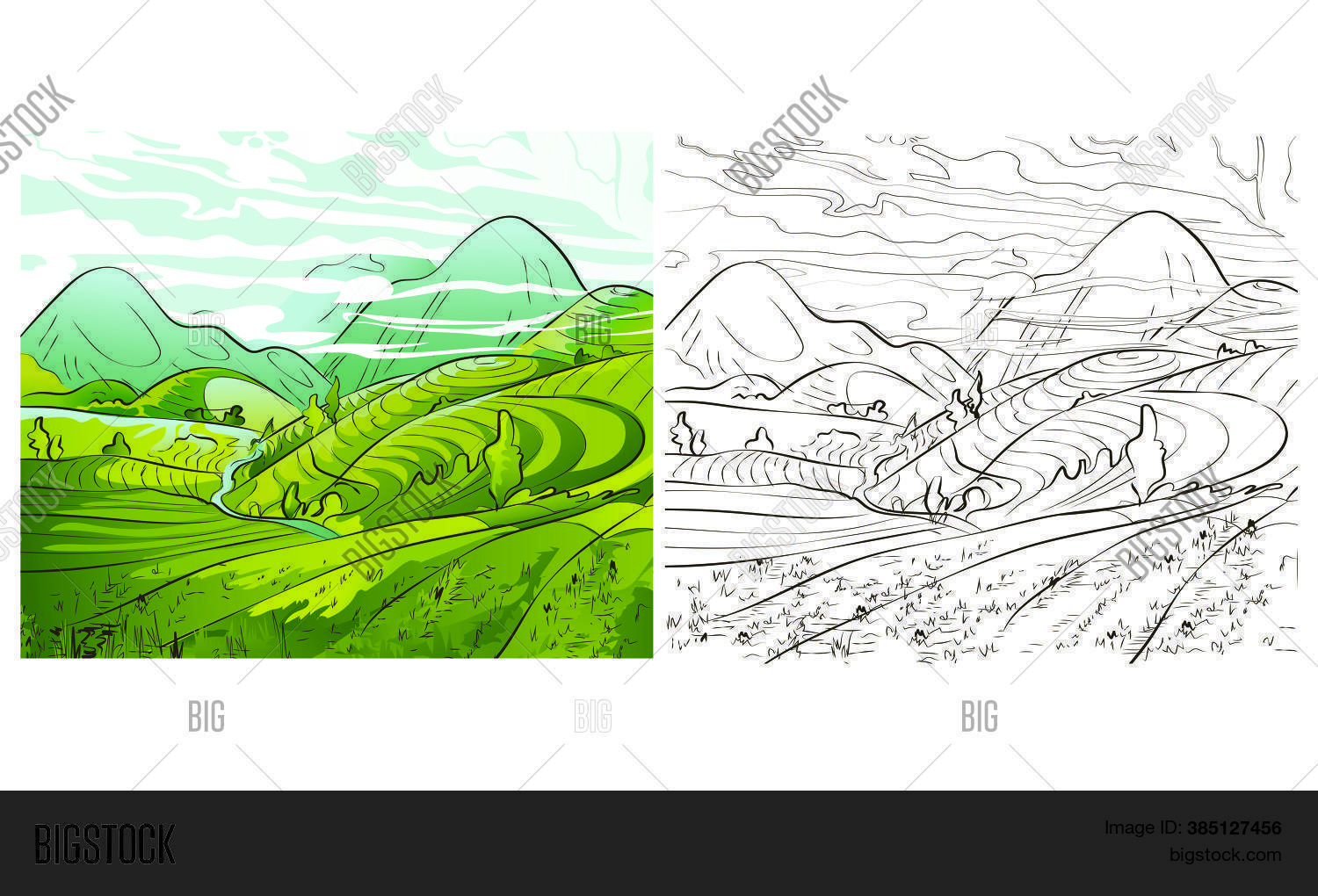 Rice Field Terraces Vector & Photo (Free Trial) | Bigstock