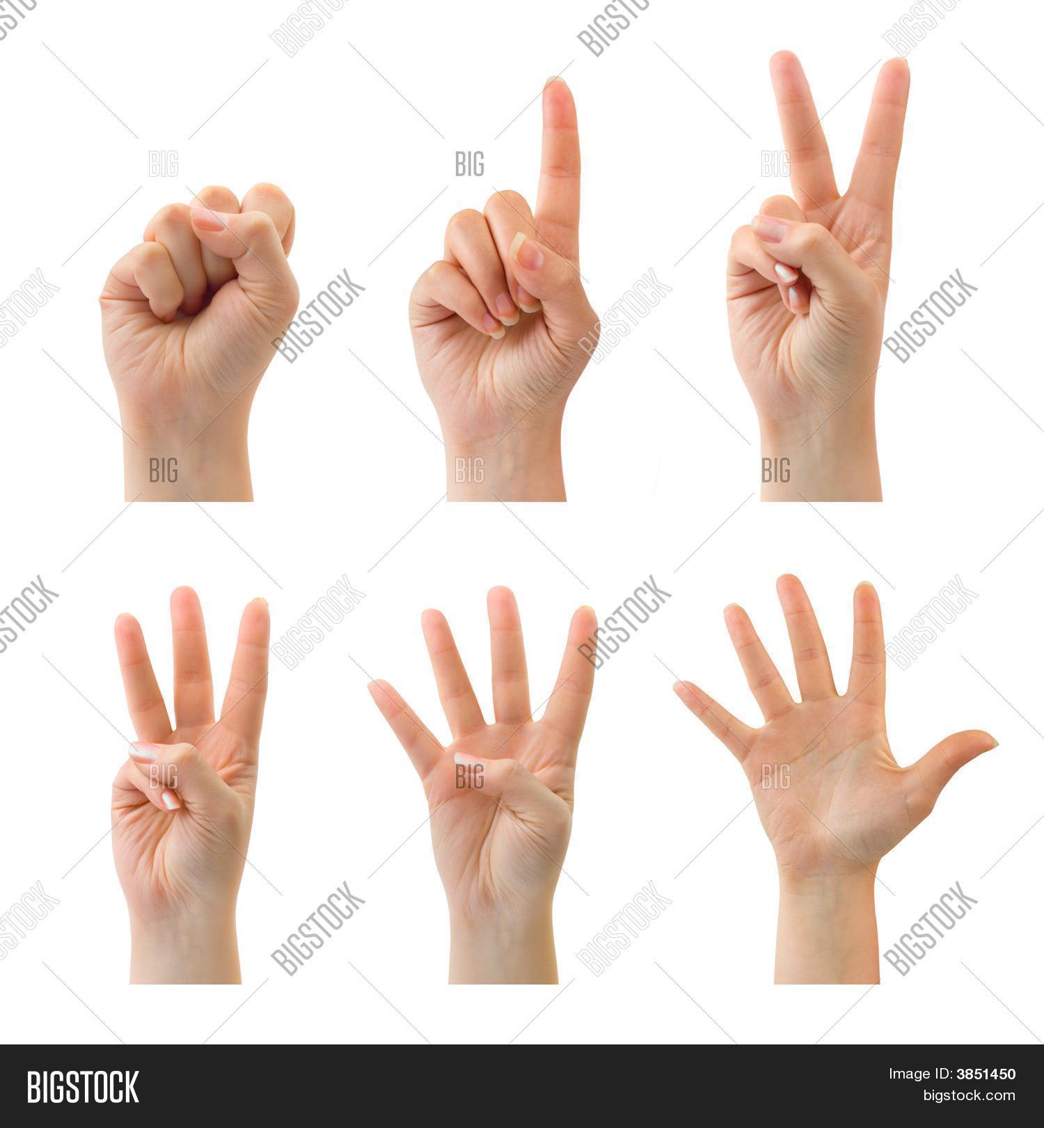 Imagen y foto Contando Las Manos (prueba gratis) | Bigstock