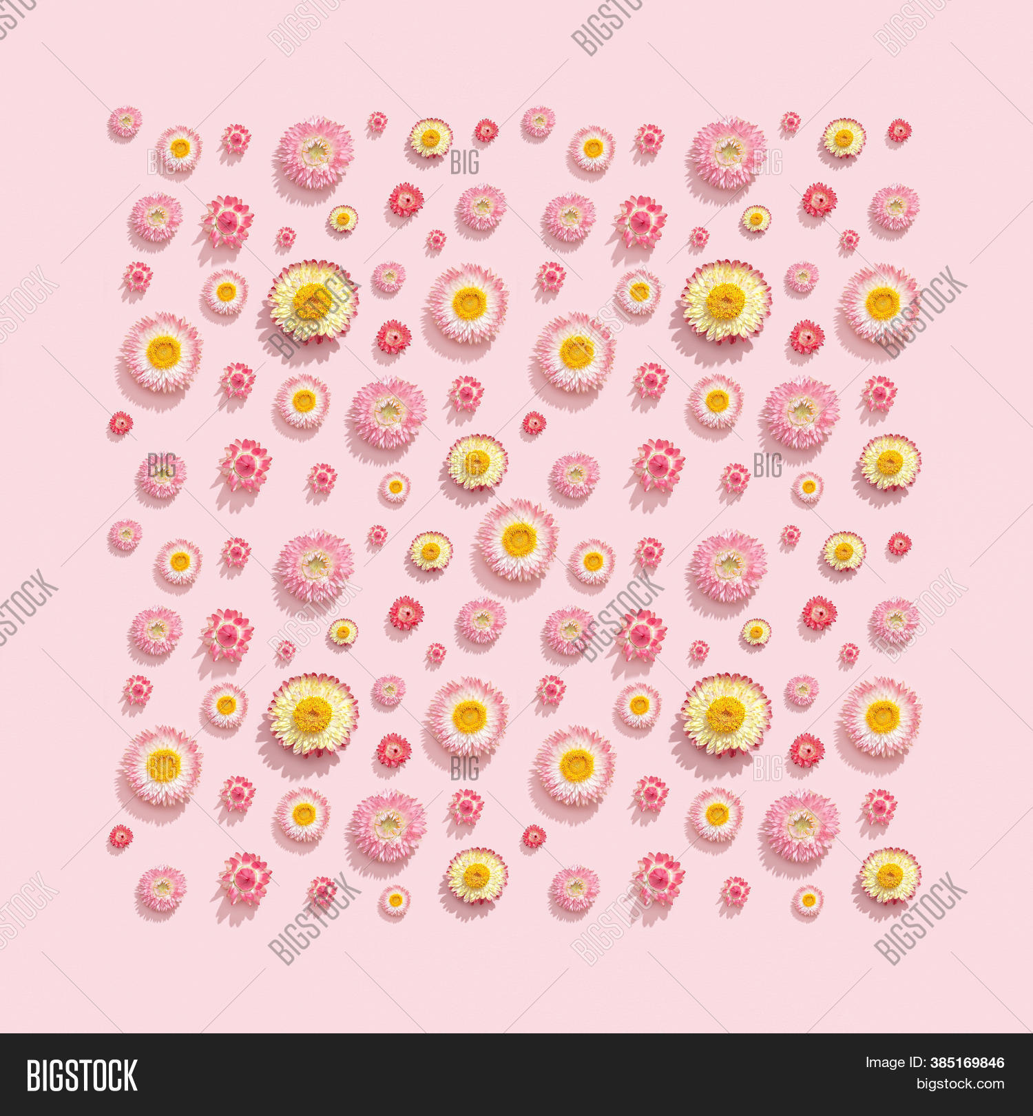 Delicate Dry Flowers, Image & Photo (Free Trial) | Bigstock