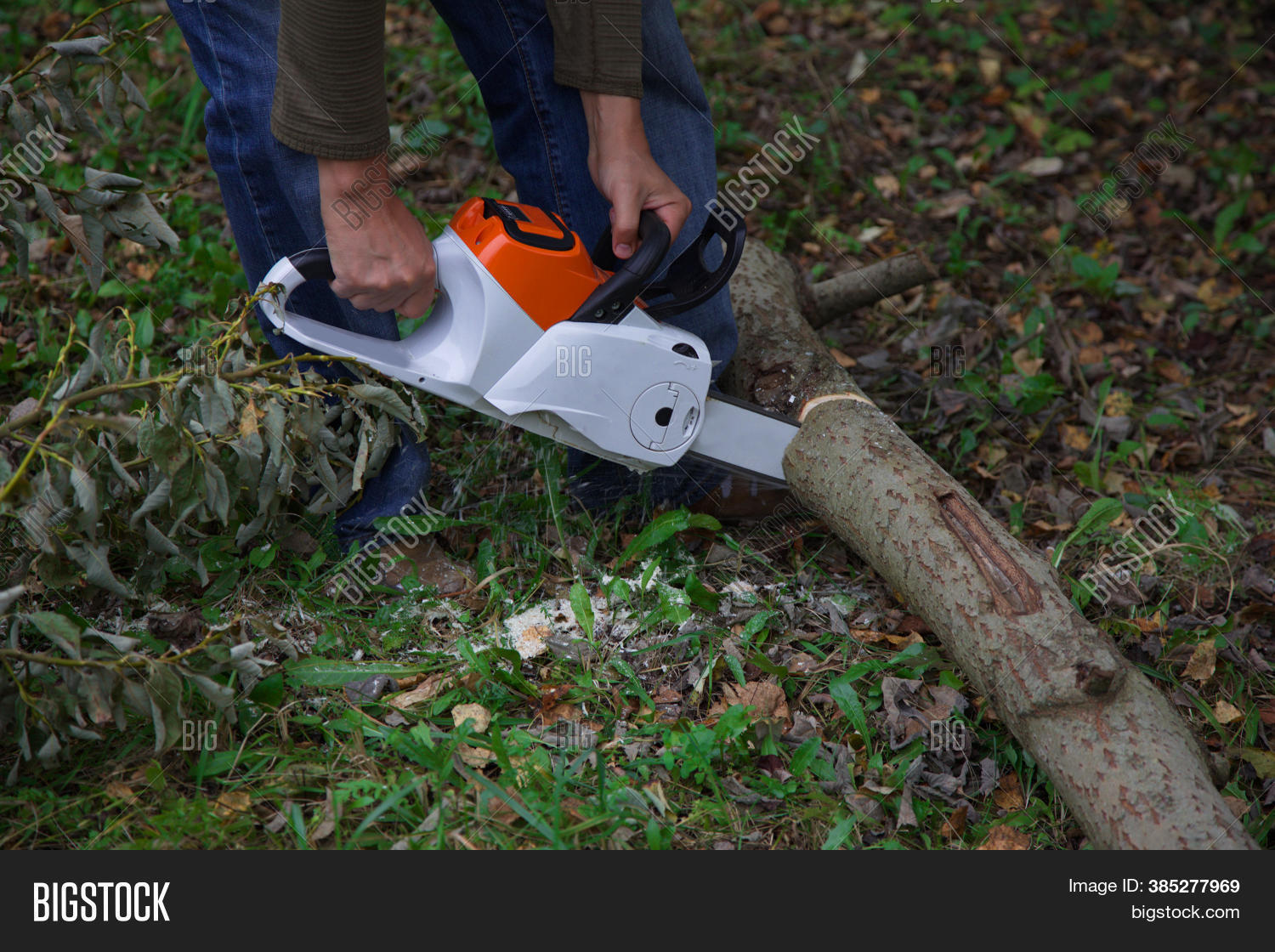 Lumberman Electric Saw Image & Photo (Free Trial) | Bigstock