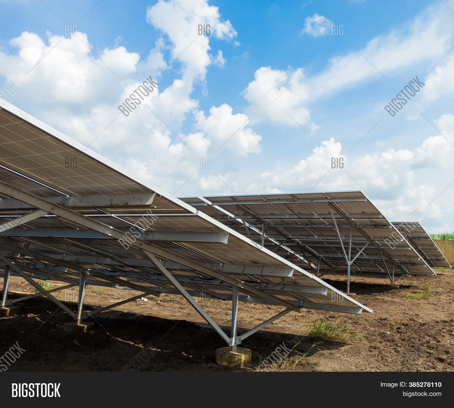 Row Back Side View Image & Photo (Free Trial) | Bigstock