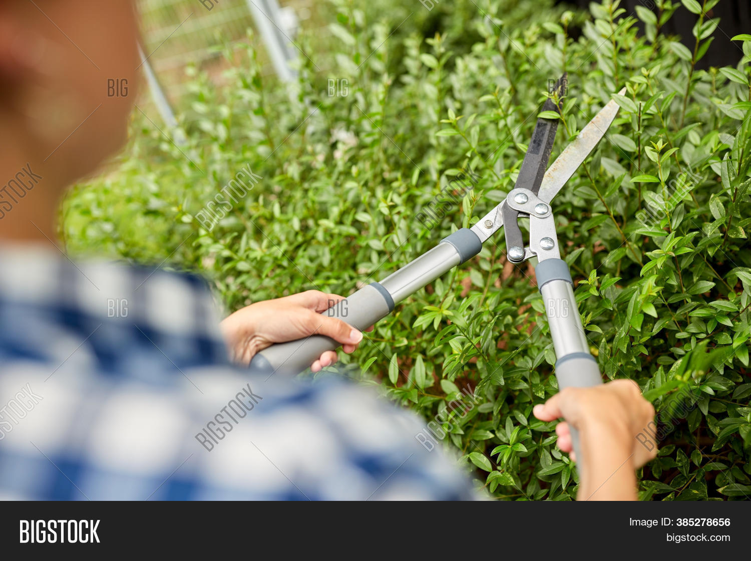 Gardening People Image & Photo (Free Trial) | Bigstock
