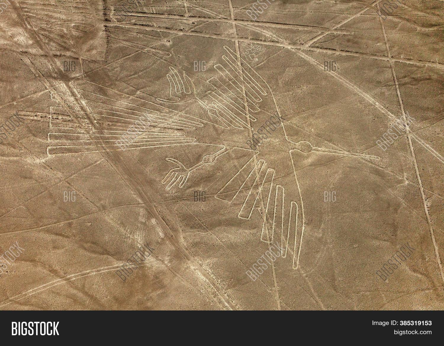 Condor Geoglyph, Nazca Image & Photo (Free Trial) | Bigstock