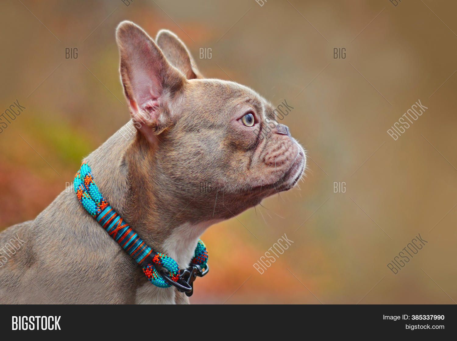 Profile Side View Rare Image & Photo (Free Trial) | Bigstock