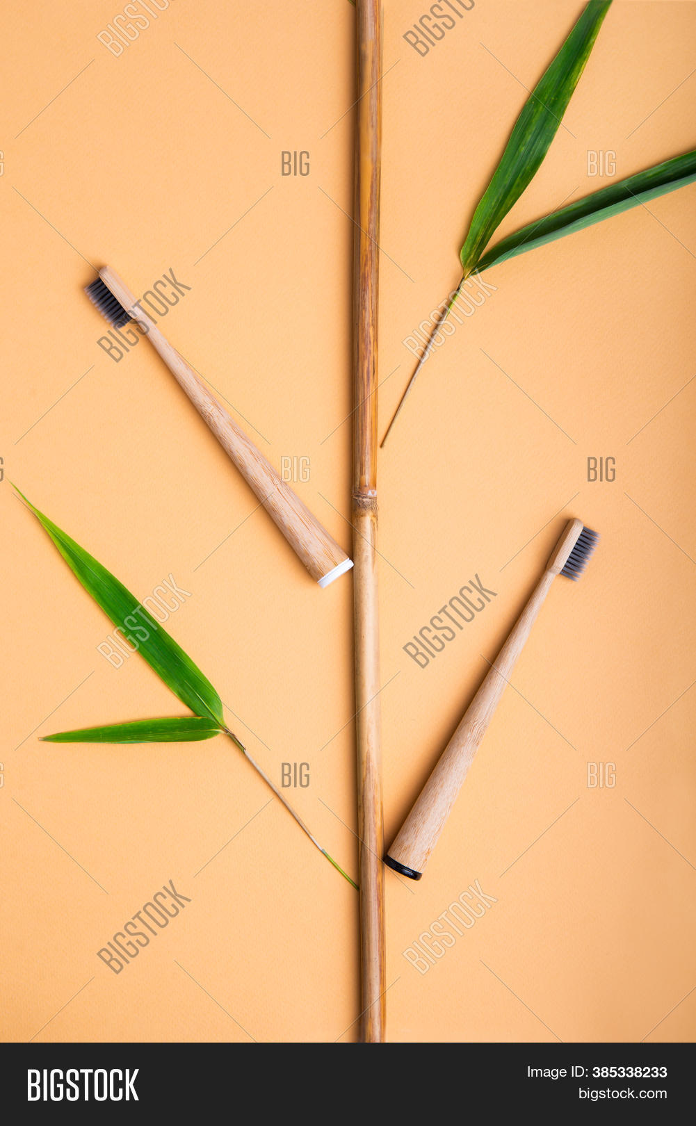 Top View Fresh Bamboo Image & Photo (Free Trial) | Bigstock