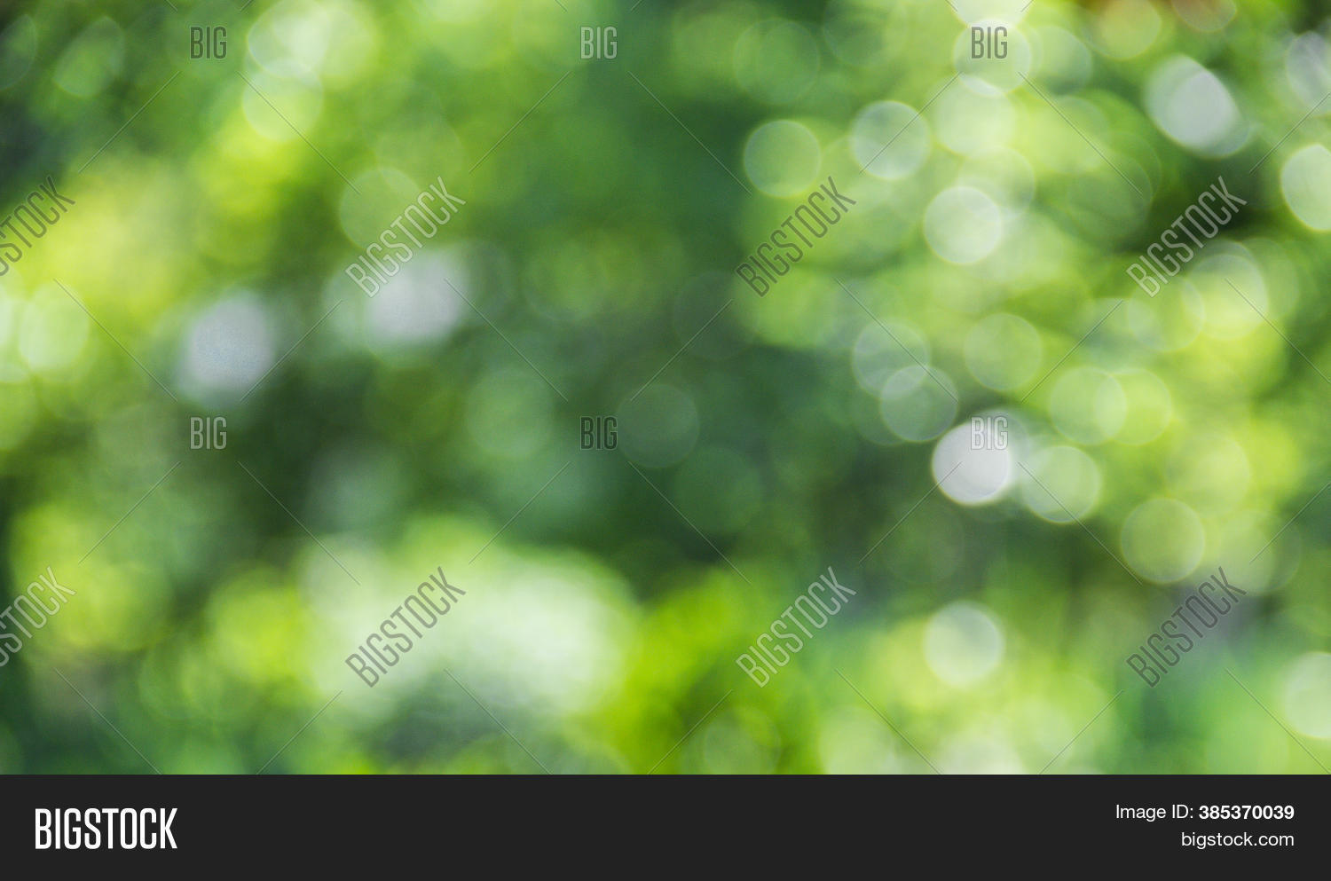 Nhiều mẫu 222 Neutral background green Thích hợp cho nhiều chủ đề khác nhau