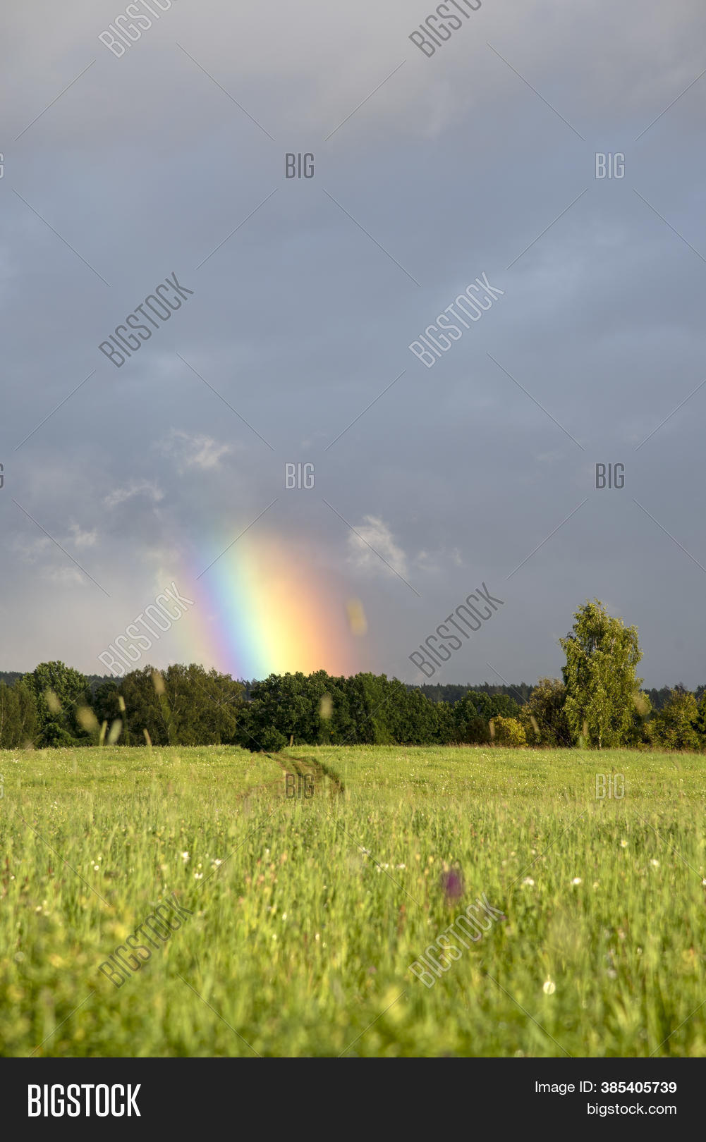 Bright Rainbow Column Image & Photo (Free Trial) | Bigstock