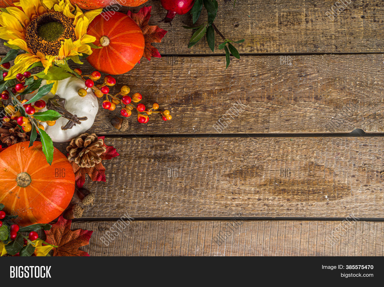 Festive Autumn Image & Photo (Free Trial) | Bigstock