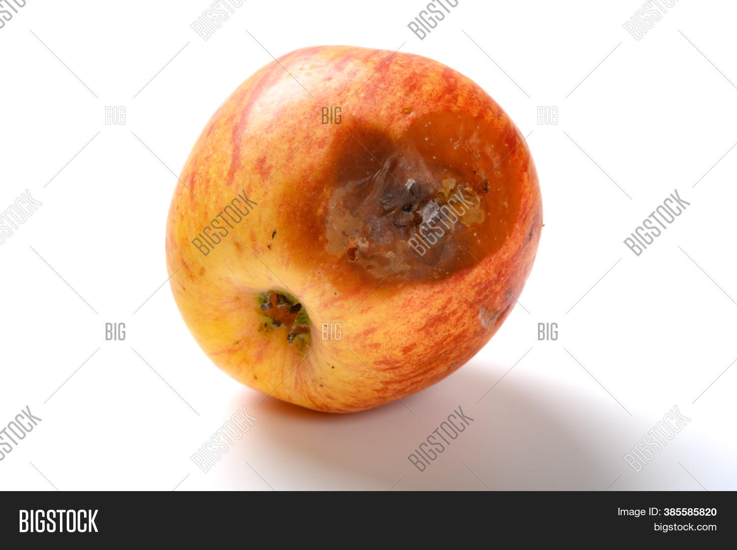 Badly Rotten Apple On Image & Photo (Free Trial) | Bigstock