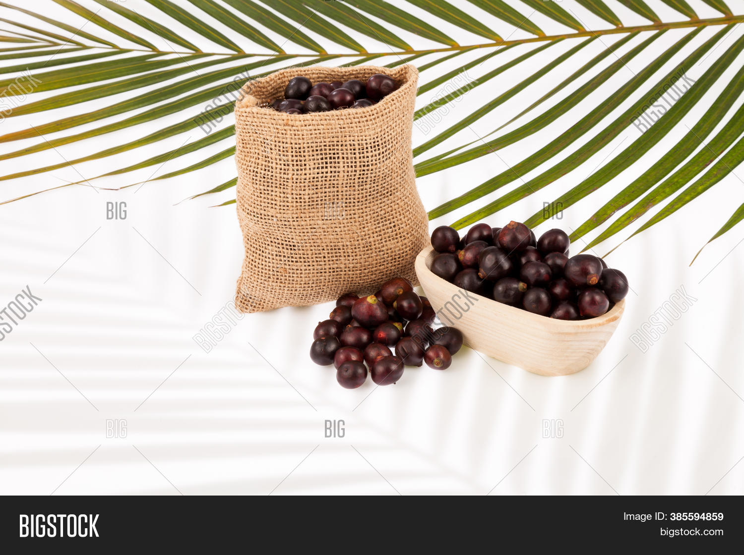 Acai Fruits Native Image & Photo (Free Trial) | Bigstock