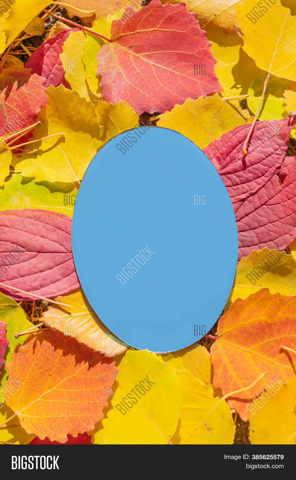 Mirror Lies On Autumn Image & Photo (Free Trial) | Bigstock