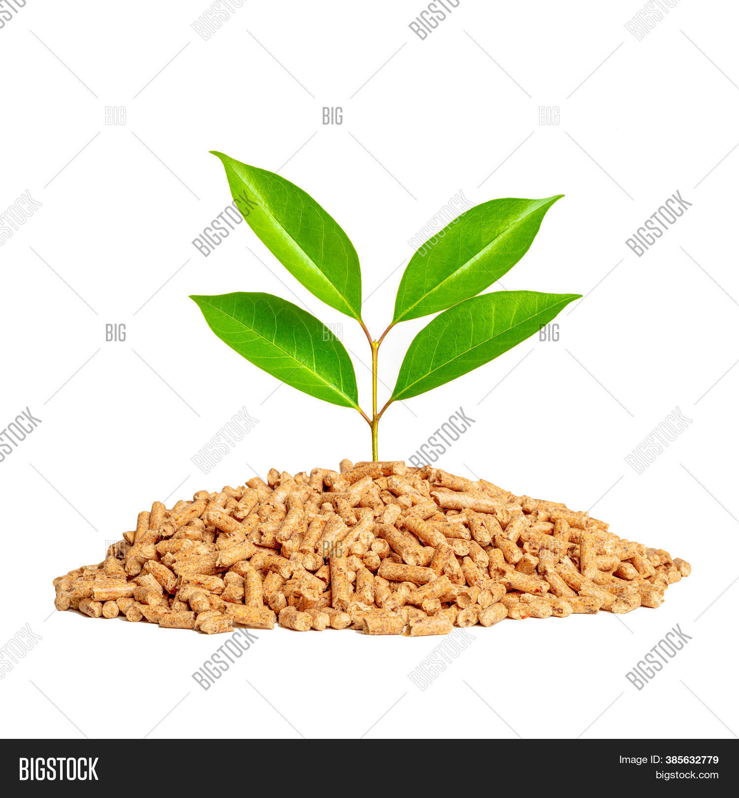 Wood Pellets Tree Image & Photo (Free Trial) | Bigstock